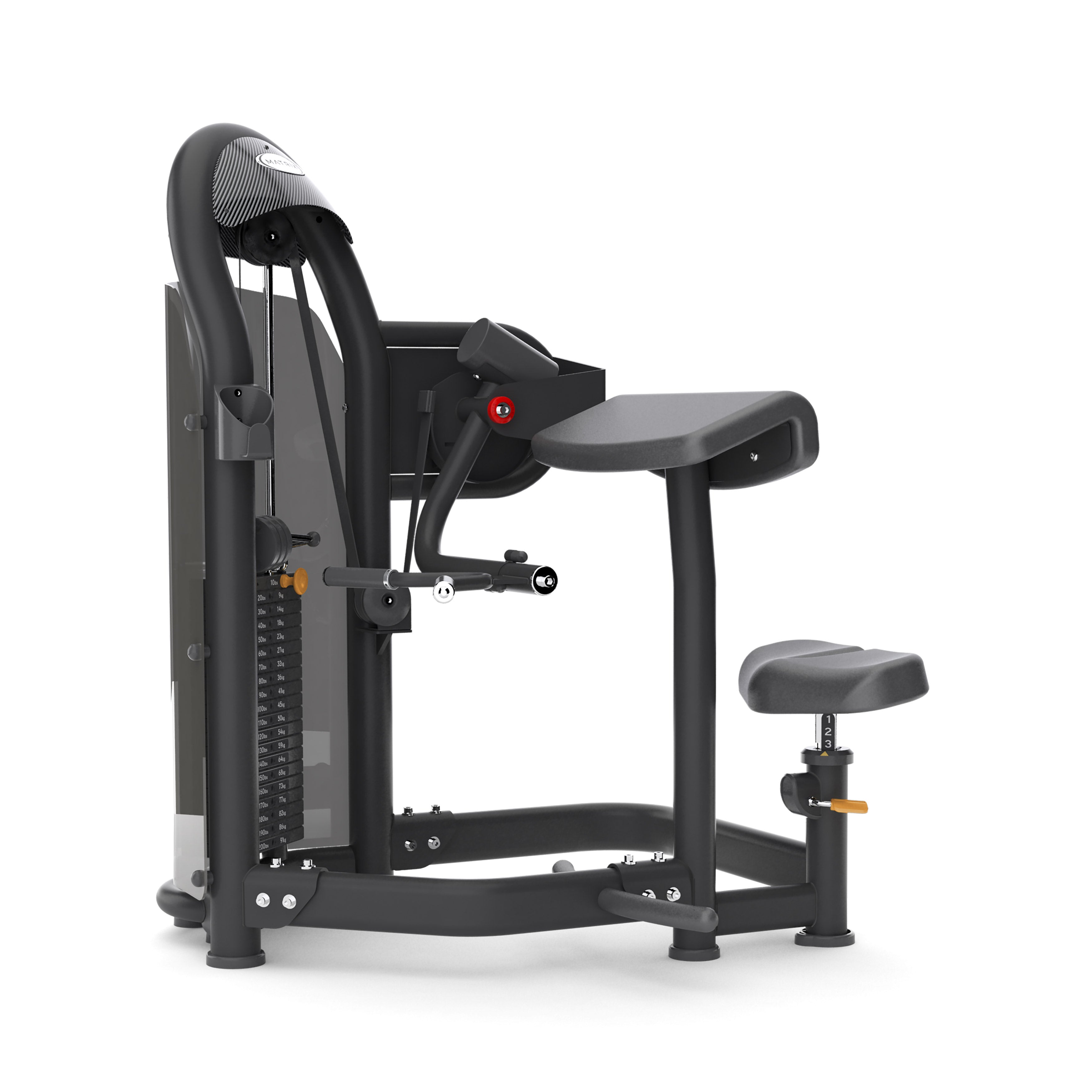 Matrix Aura Arm Curl